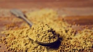 What Is Mustard Powder? (Types, Uses + Substitutes)