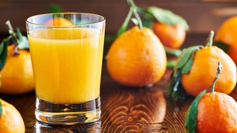 Orange Juice Facts (13 Things You Probably Didn't Know)