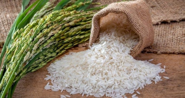 What Does Jasmine Rice Taste Like? (Flavor, Fragrance + FAQs)