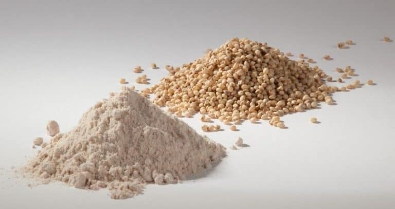 What Is Jowar Flour What It Is Uses Substitutes More what-is-jowar-flour-what-it-is-uses-substitutes-more